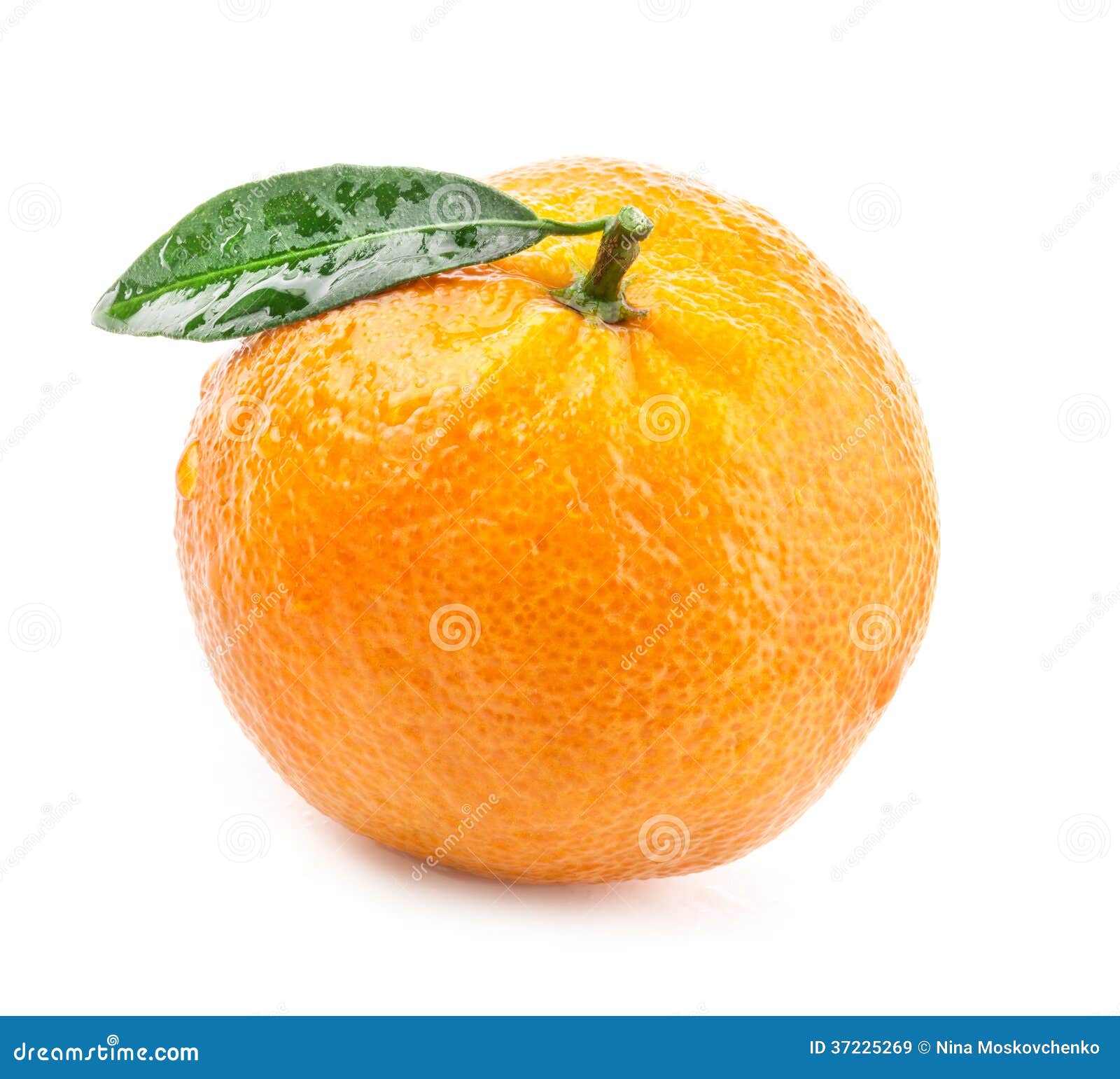 Mandarijn stock afbeelding. Image of vers, verfrissing - 37225269