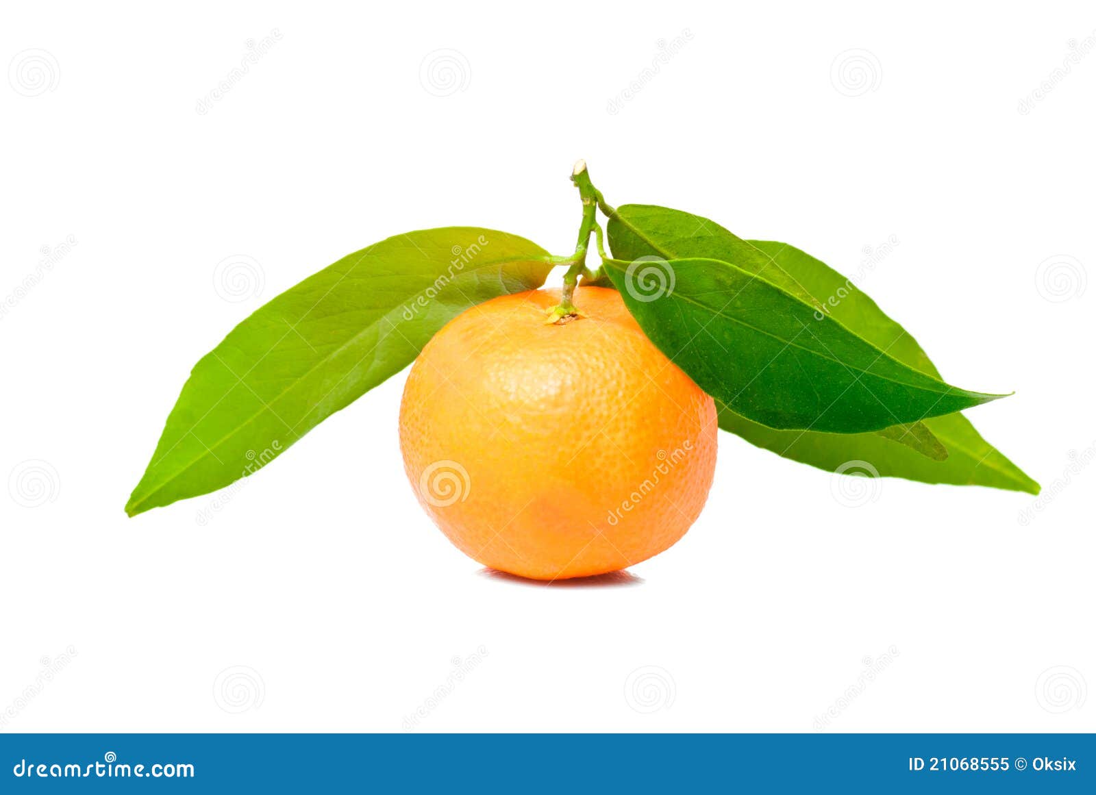 Mandarijn Met Groene Bladeren Stock Afbeelding - Image of levensstijlen ...