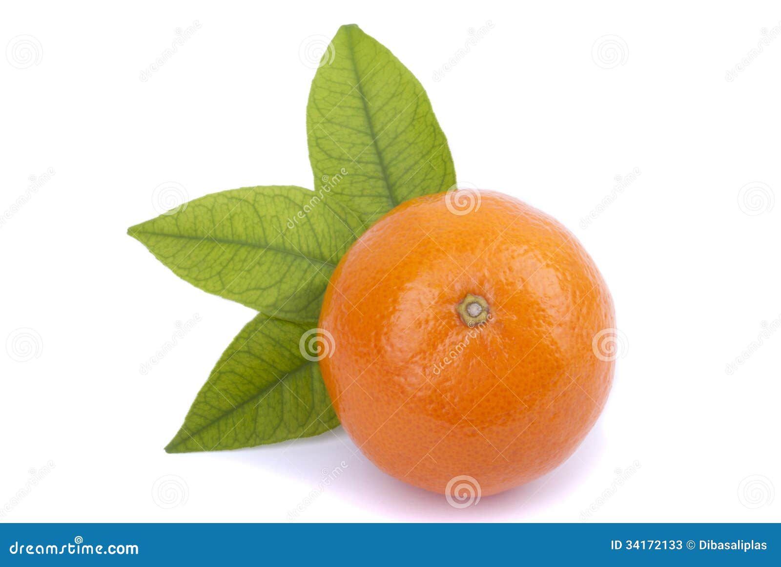 Mandarijn Met Groene Bladeren Stock Afbeelding - Image of groot, nuttig ...