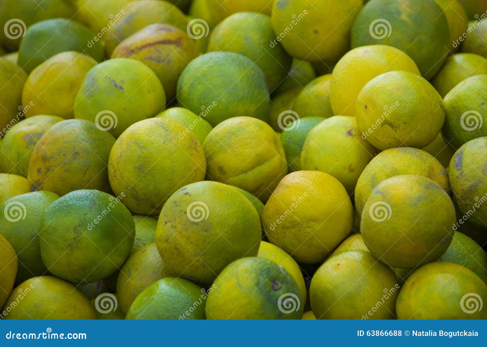 Mandarijnen Geel En Groen Fruit Stock Foto - Image of groen, geel: 63866688