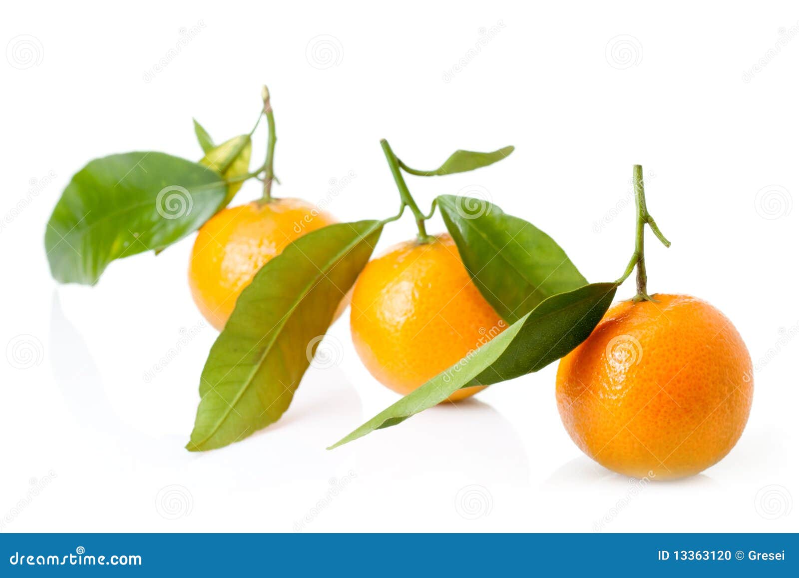 Mandarin stock photo. Image of nature, focus, object - 13363120