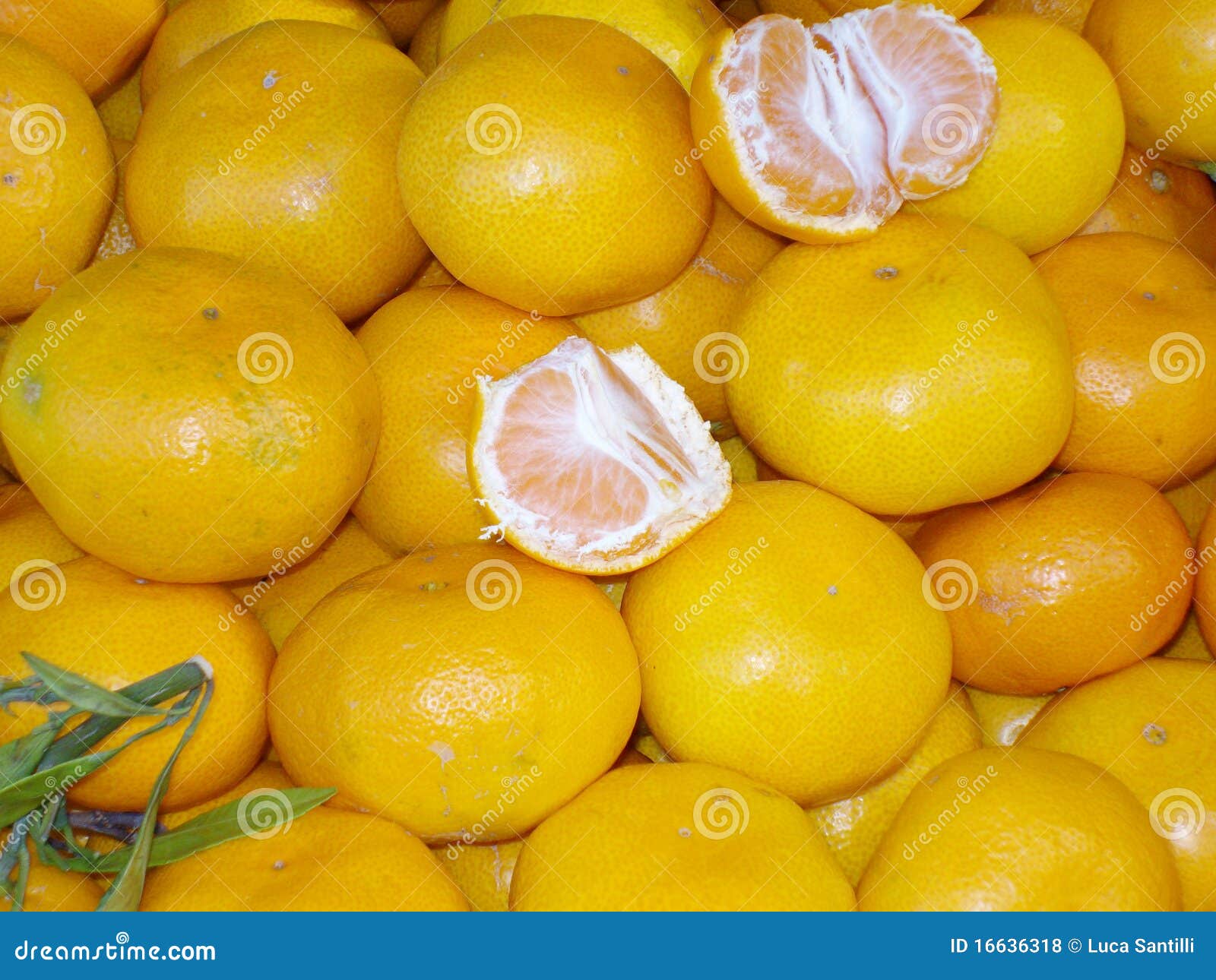 Mandarin stock photo. Image of orange, mandarins, nutrition - 16636318