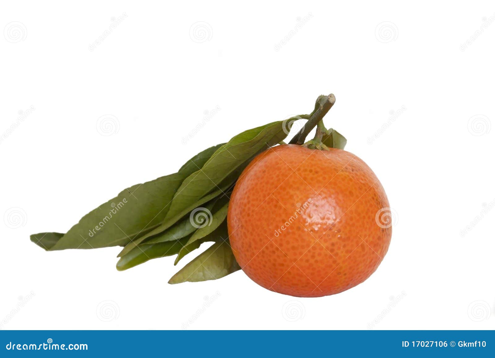 Mandarin stock photo. Image of citrus, diet, ingredient - 17027106