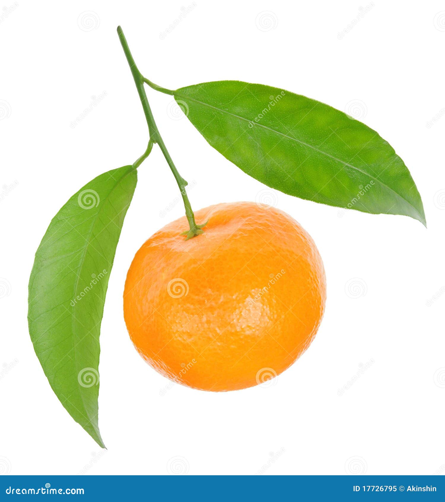 Mandarin stock image. Image of natural, fruit, juicy - 17726795