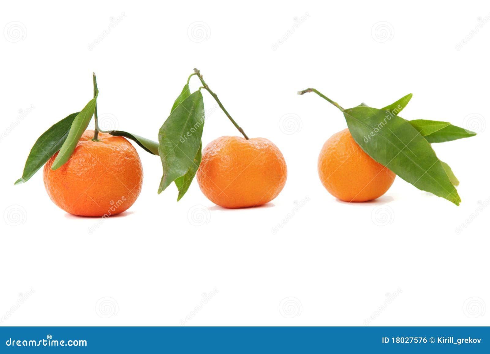 Mandarin stock photo. Image of natural, fresh, life, health - 18027576