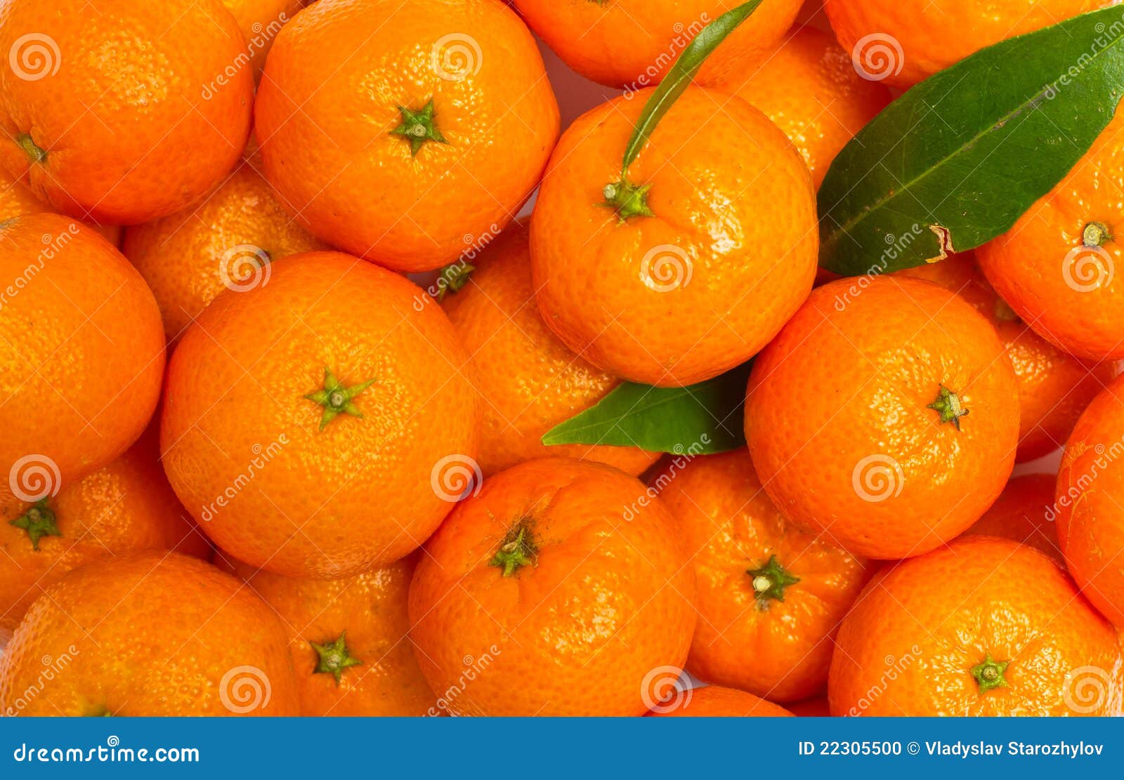Mandarin stock photo. Image of eating, heap, backgrounds - 22305500
