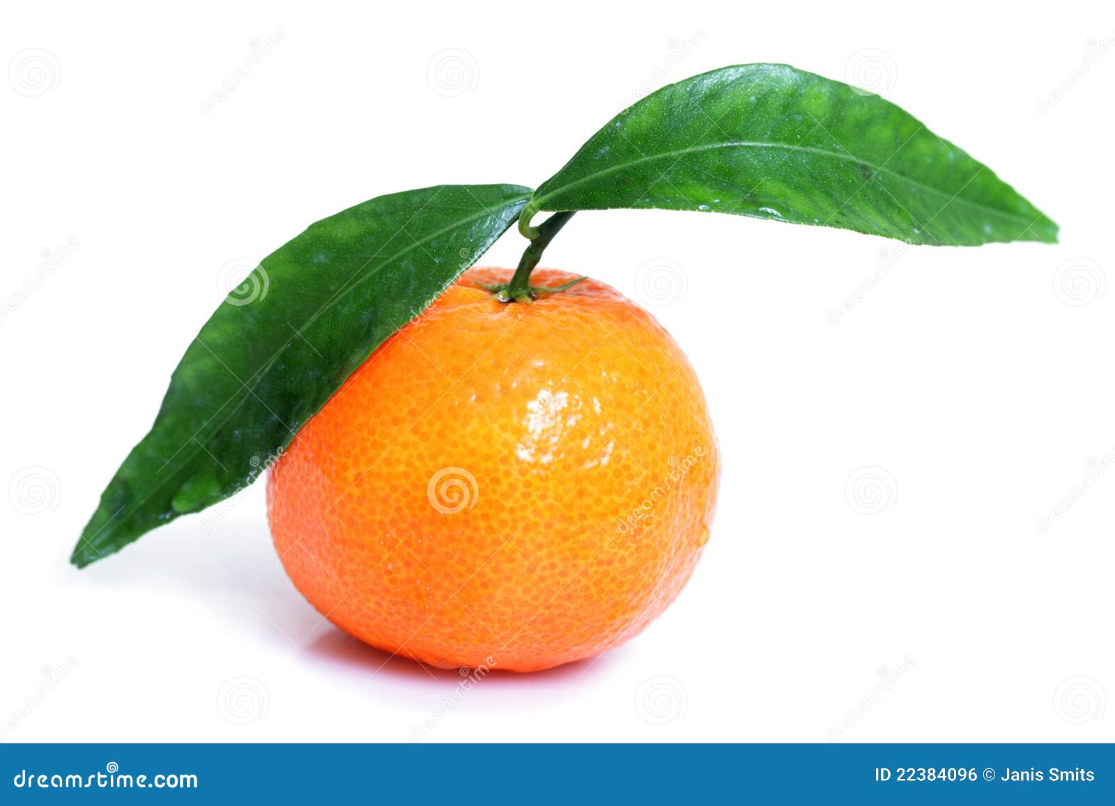 Mandarin. stock photo. Image of healthy, food, citrus - 22384096