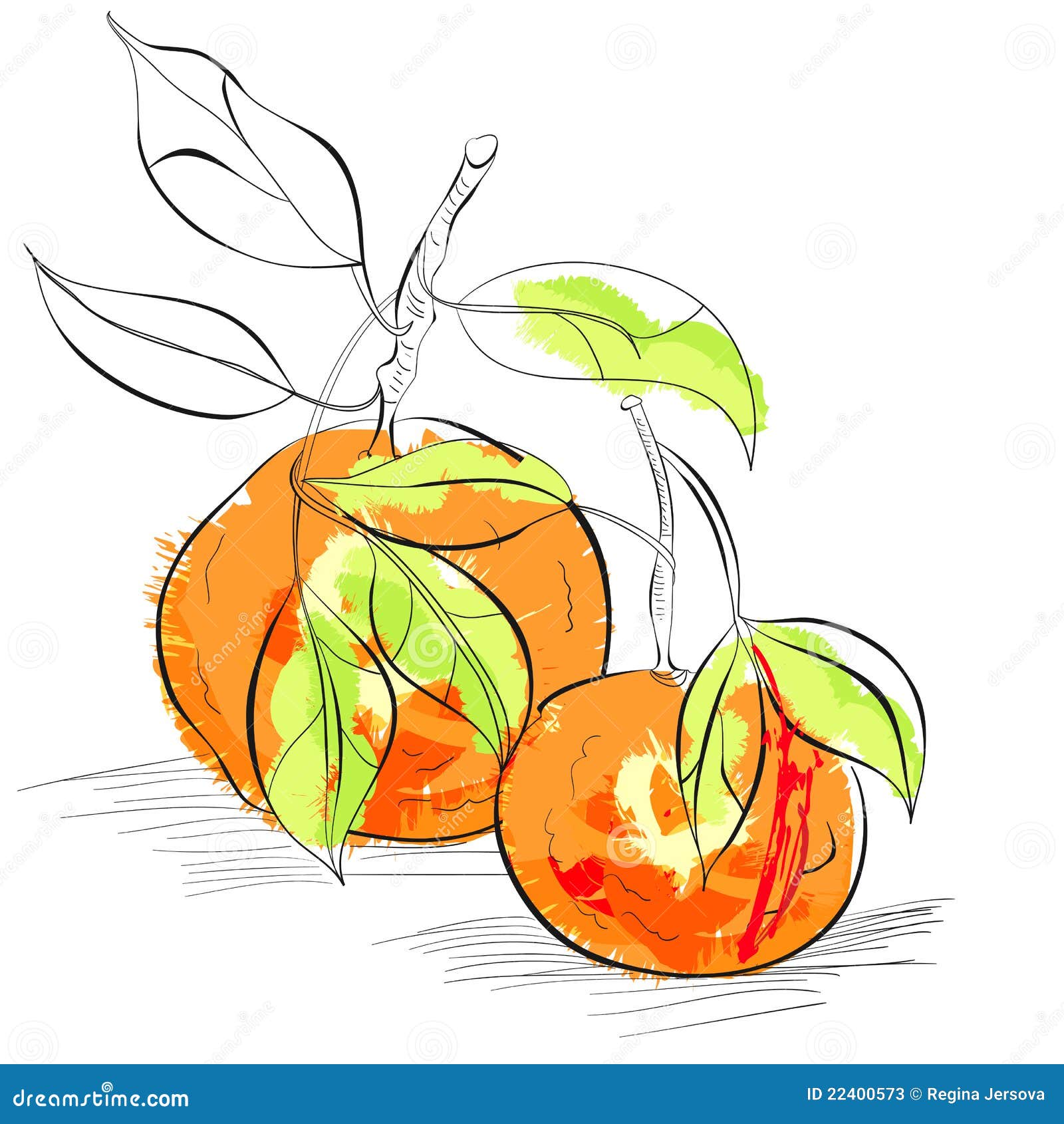 Mandarin Cartoon Vector | CartoonDealer.com #22400573