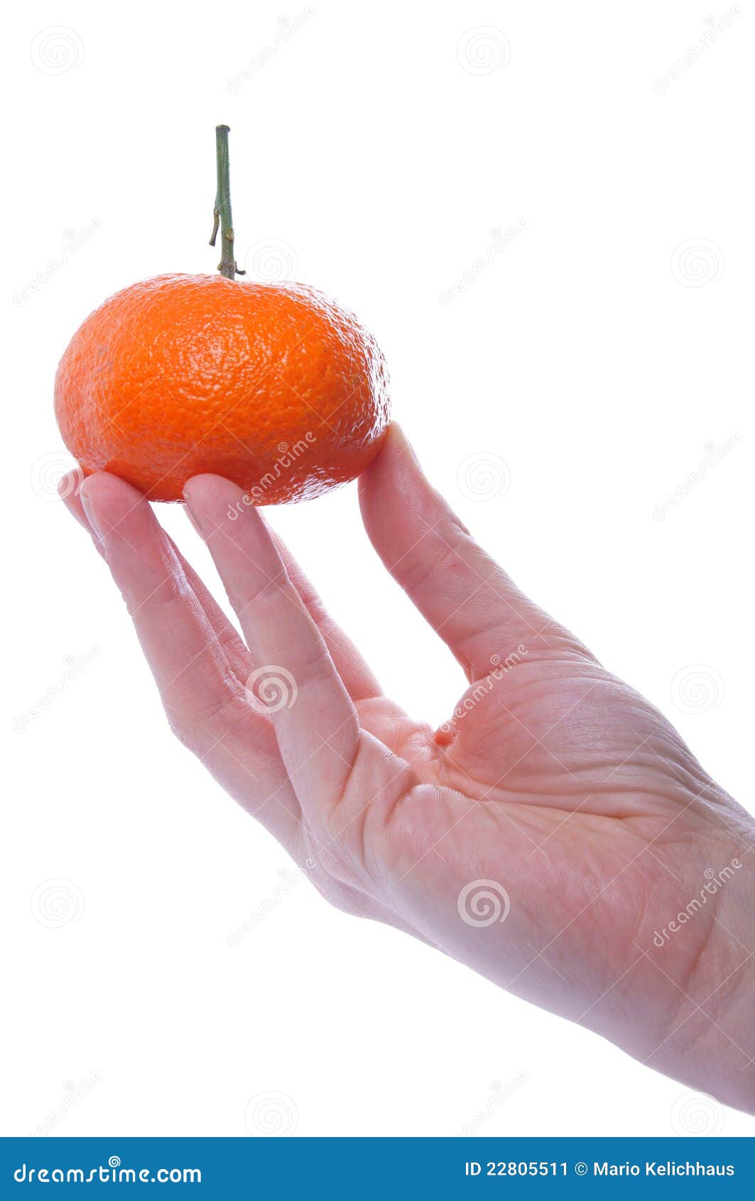 Mandarin stock image. Image of garden, taste, core, juicy - 22805511