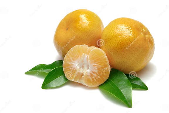 Mandarin stock image. Image of isolated, segment, mandarin - 2591355