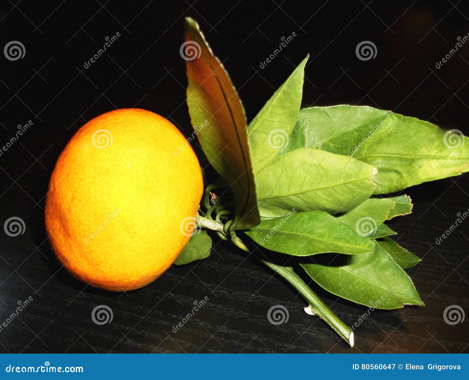 Mandarin on a Branch with Leaves Stock Image - Image of healthy ...