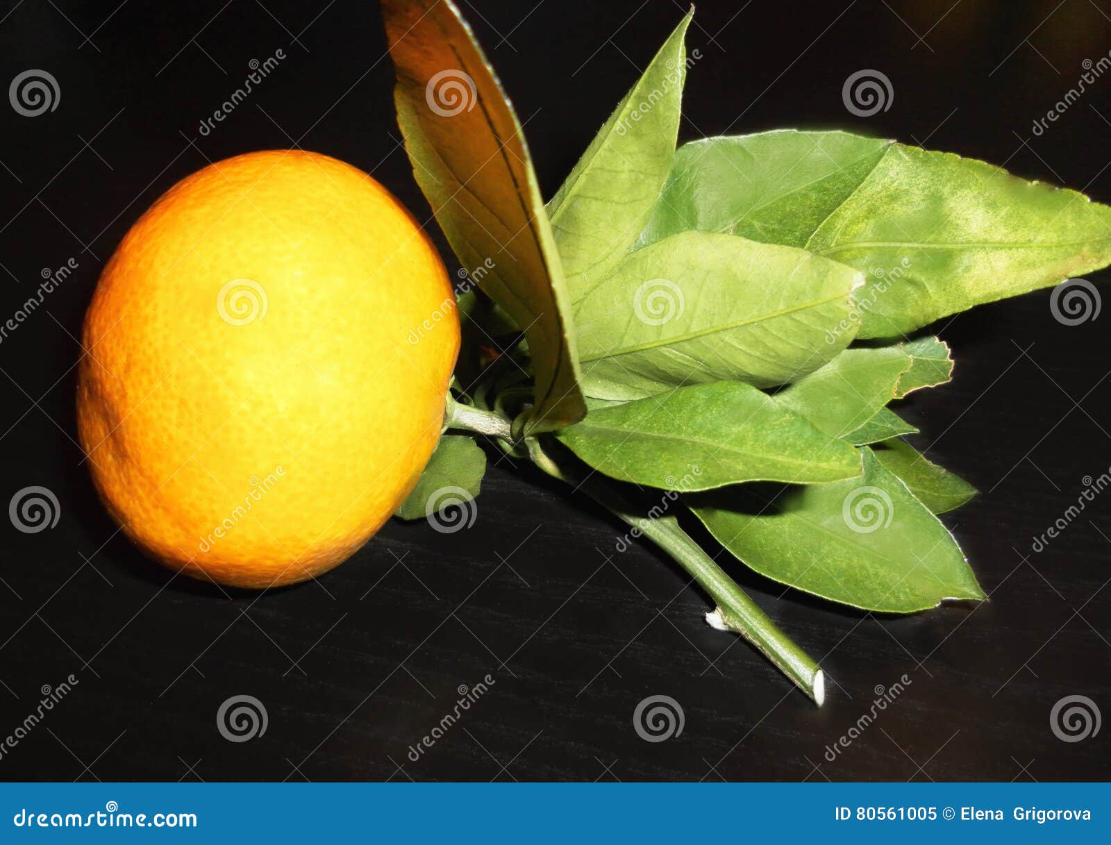Mandarin On A Branch With Leaves Stock Image | CartoonDealer.com #80561005
