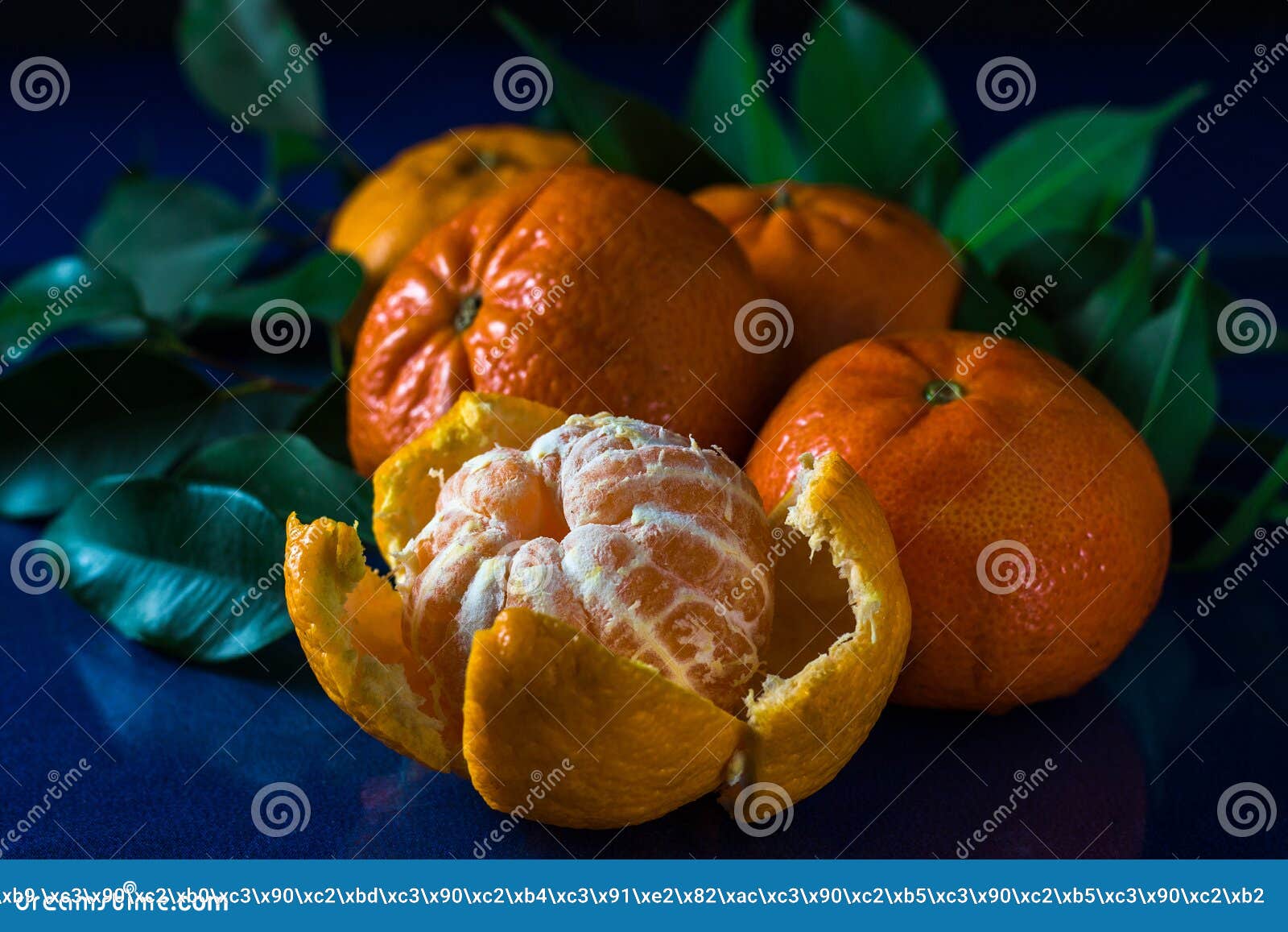 Mandarin citrus still life stock photo. Image of citrus - 171519418