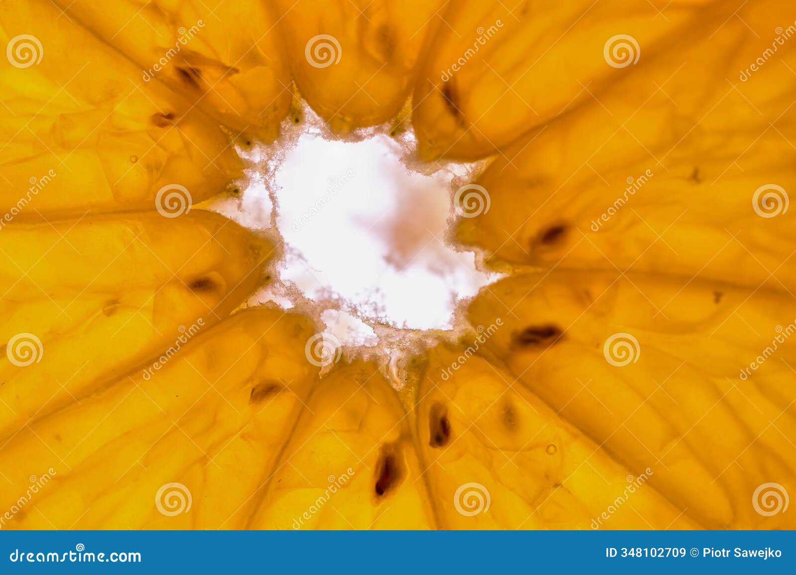 Mandarin, Cross Section, Structure, Pattern, Background, Color Stock ...