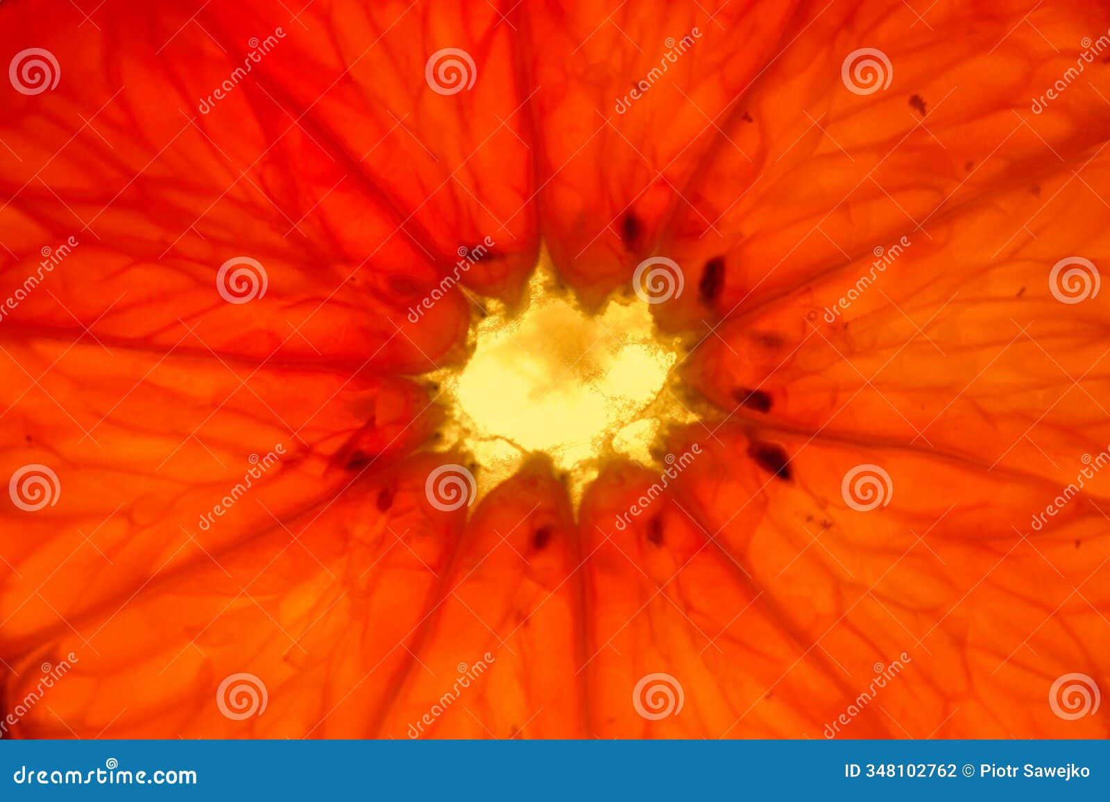 Mandarin, Cross Section, Structure, Pattern, Background, Color Stock ...