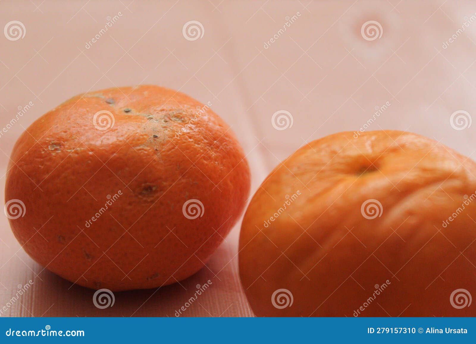 The mandarin stock photo. Image of vegetable, produce - 279157310