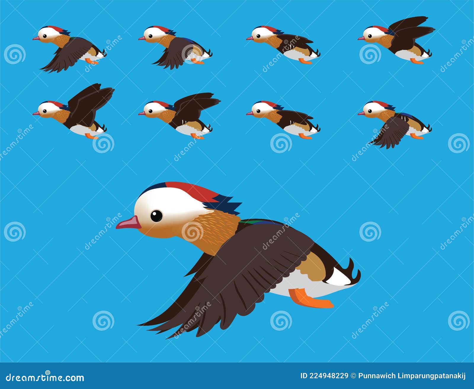 Mandarin Duck Flying Animation Sequence Cartoon Vector Stock Vector ...