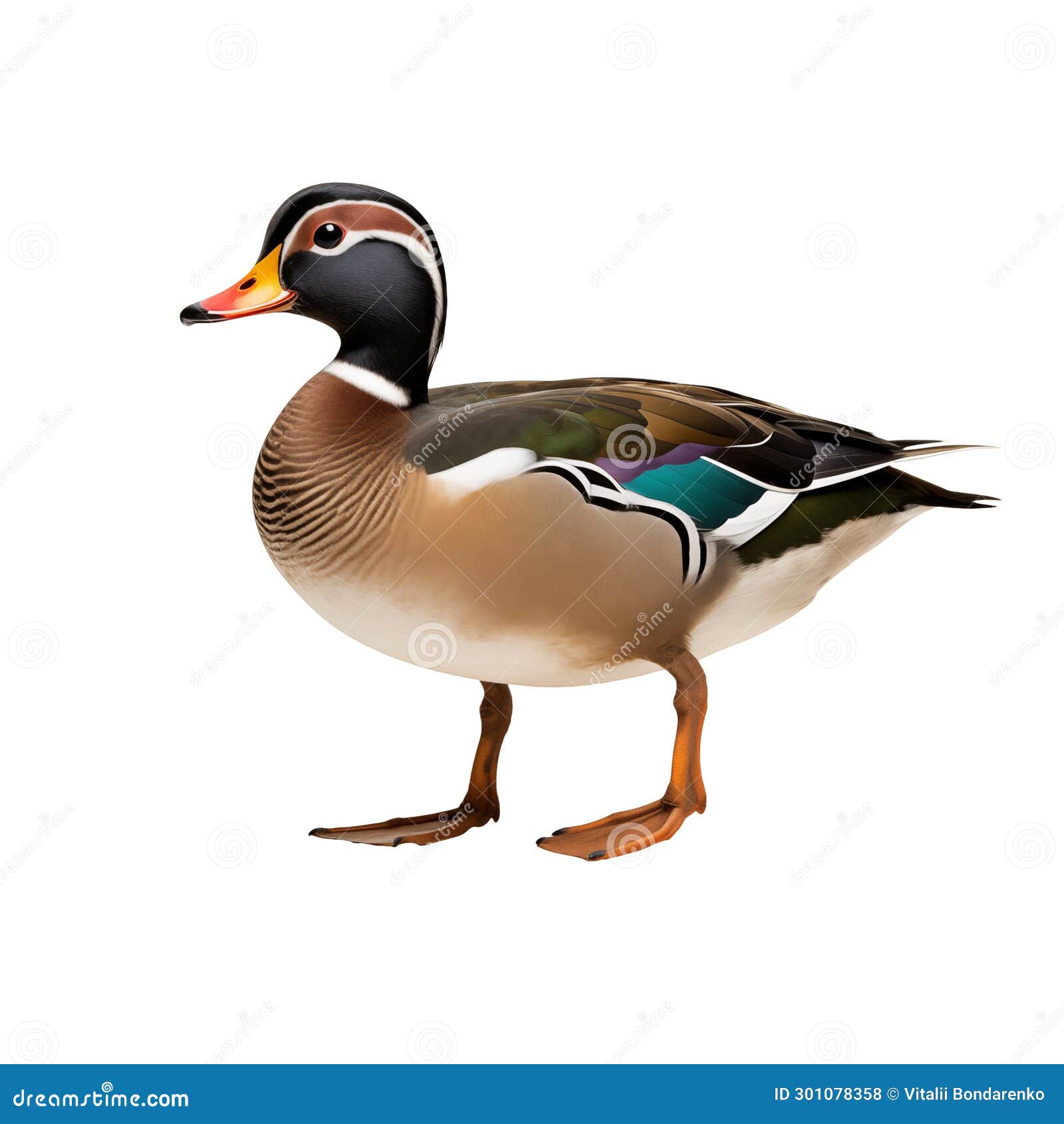 Mandarin Transparent Icon. Mandarin Symbol Design From ...