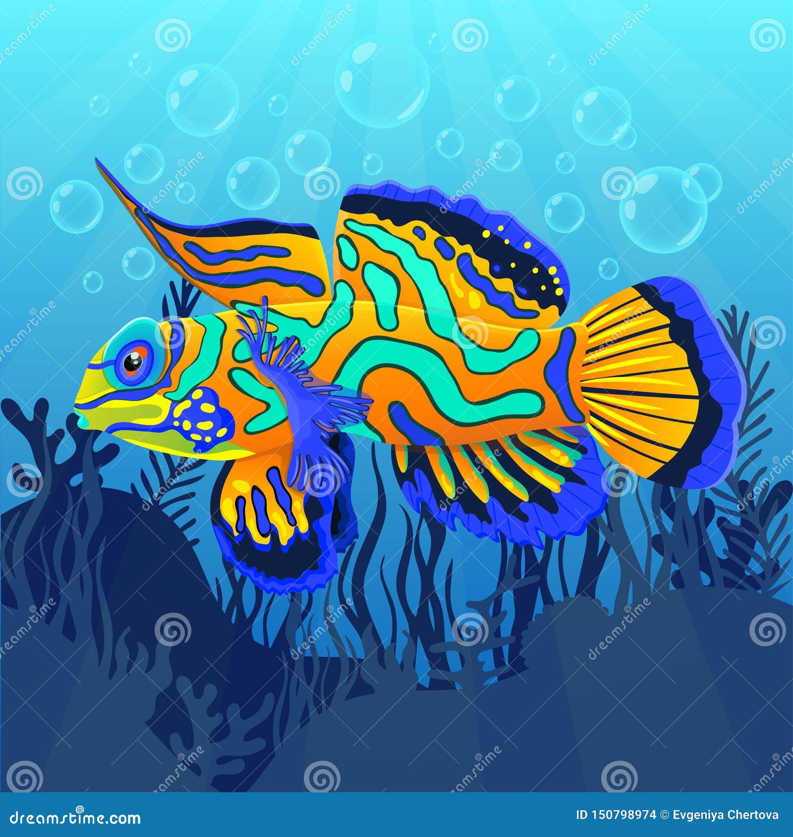 Mandarin Fish, Flat Cartoon Realistic Drawing, Hand Drawn Sea Animal ...