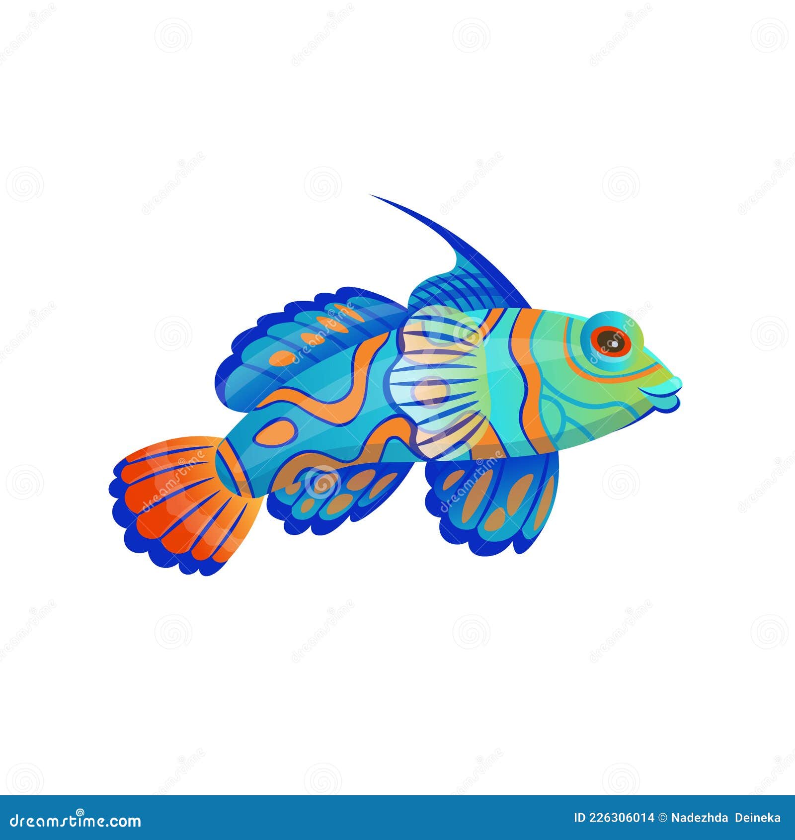 Mandarin Fish, Flat Cartoon Realistic Drawing, Hand Drawn Sea Animal ...