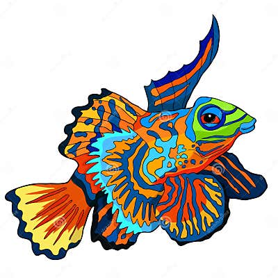 Mandarin Fish is Chinese Perch. Vector Illustration Stock Vector ...