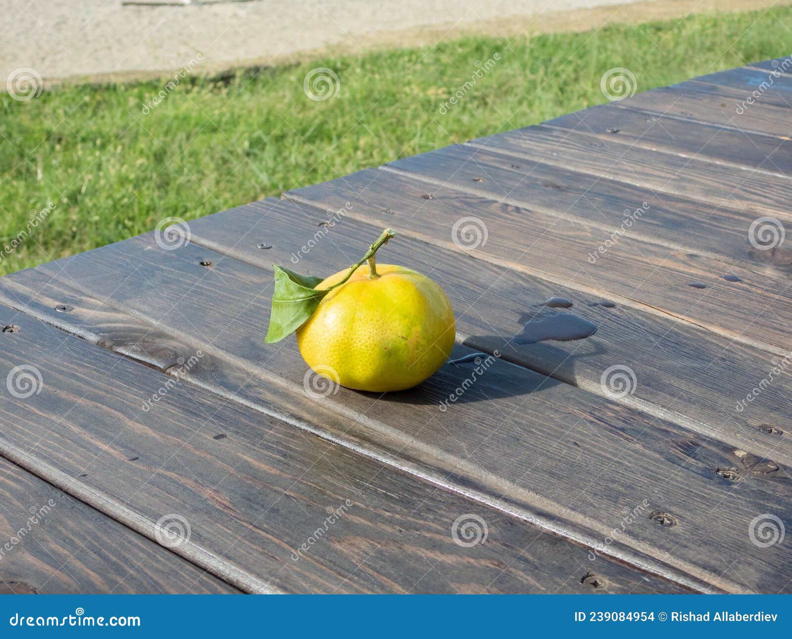 Mandarin Fruit on a Bench Against a Green Grass Background Stock Photo ...