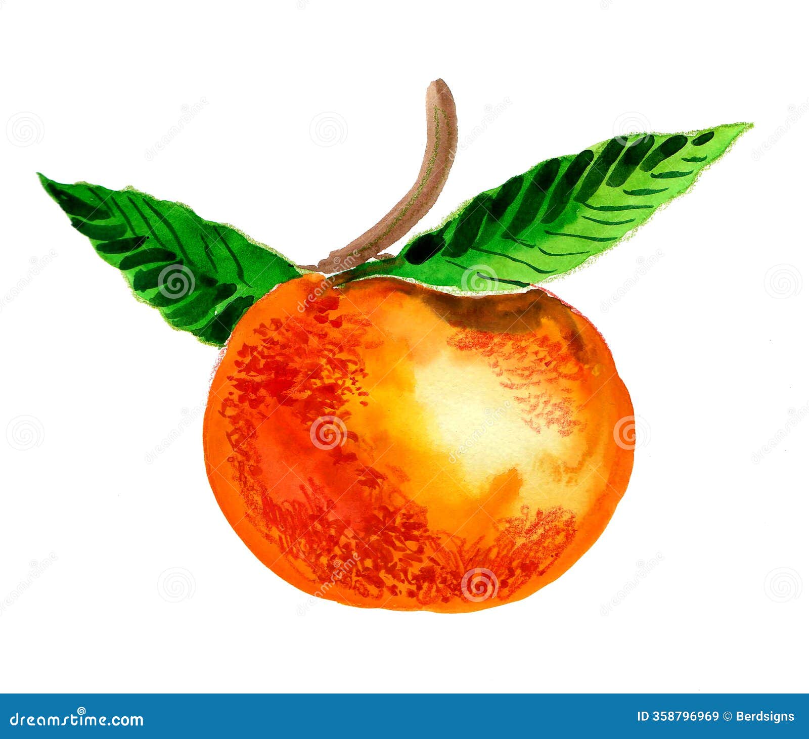 Mandarin Fruit Natural Labels Set In Green, Yellow Colors. Cartoon ...