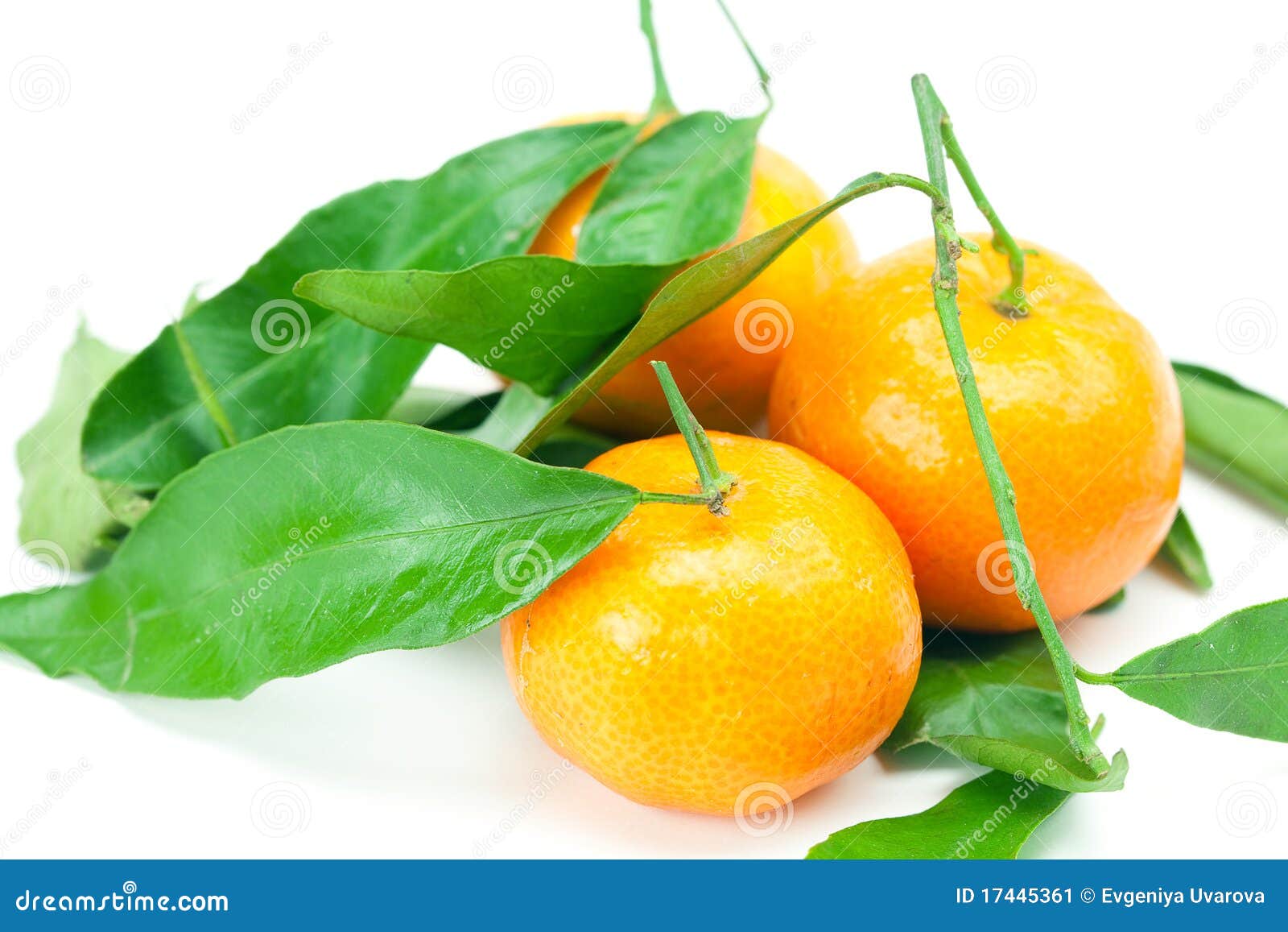 Mandarin with Green Leaves Isolated on White Stock Image - Image of ...