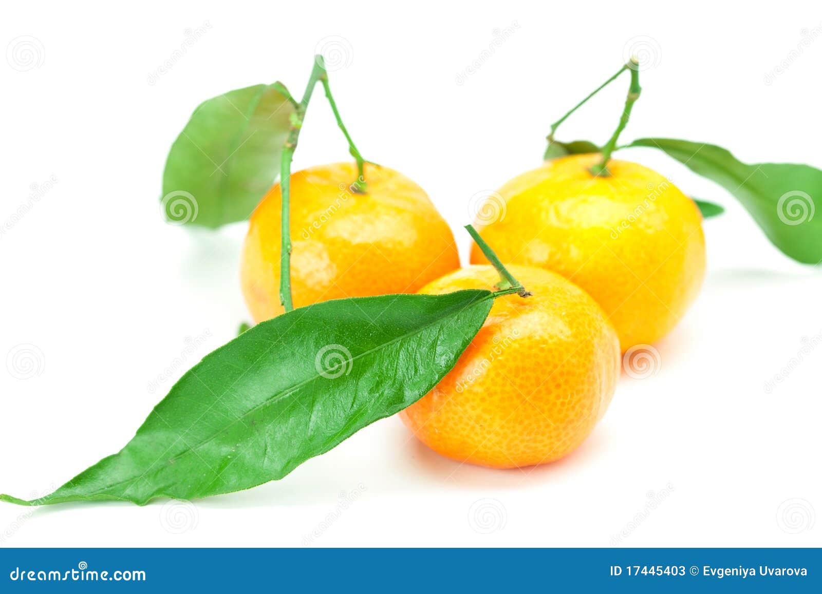Mandarin with Green Leaves Isolated on White Stock Image - Image of ...