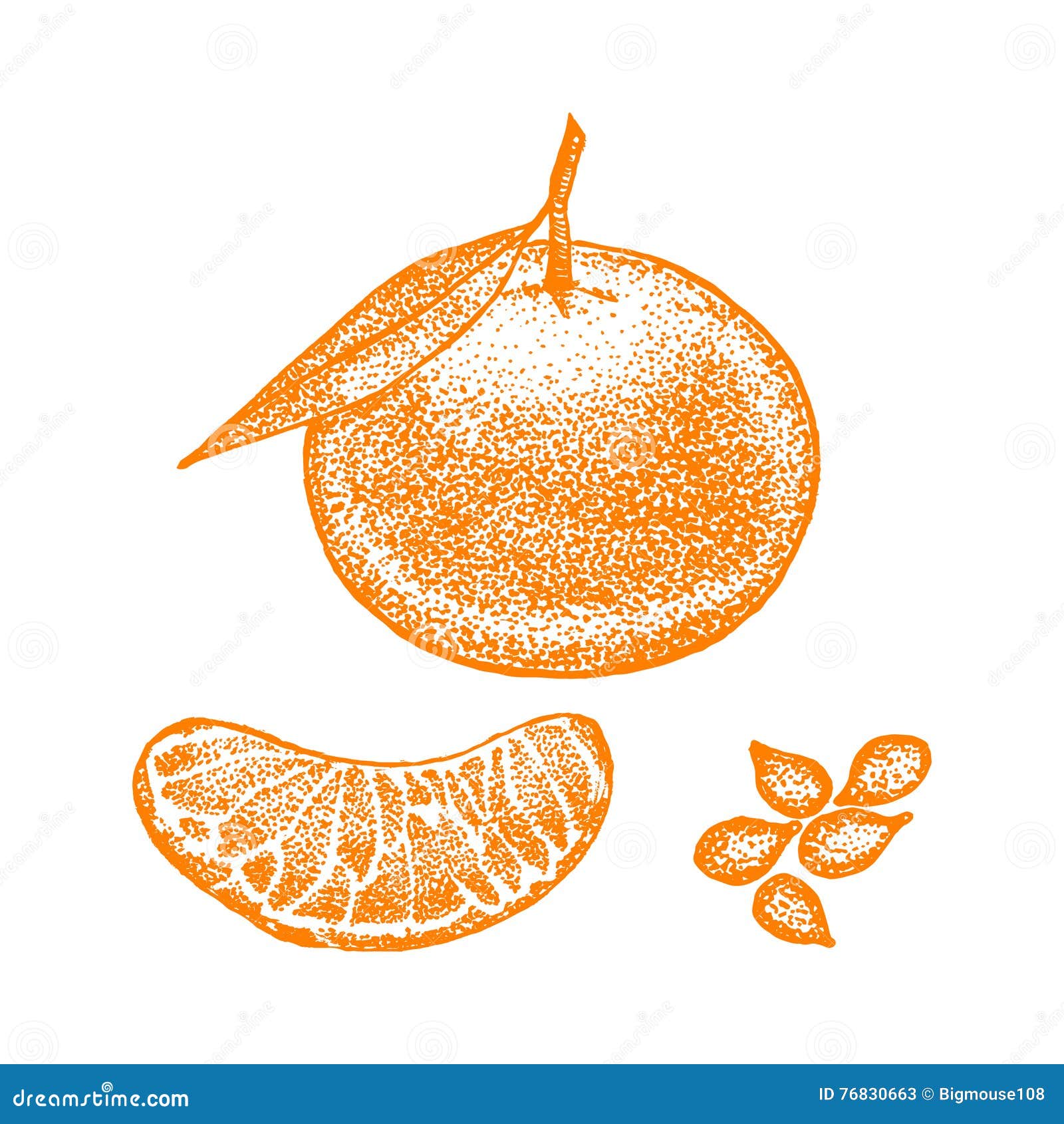 Mandarin Hand Draw Sketch. Vector Stock Vector - Illustration of leaves ...