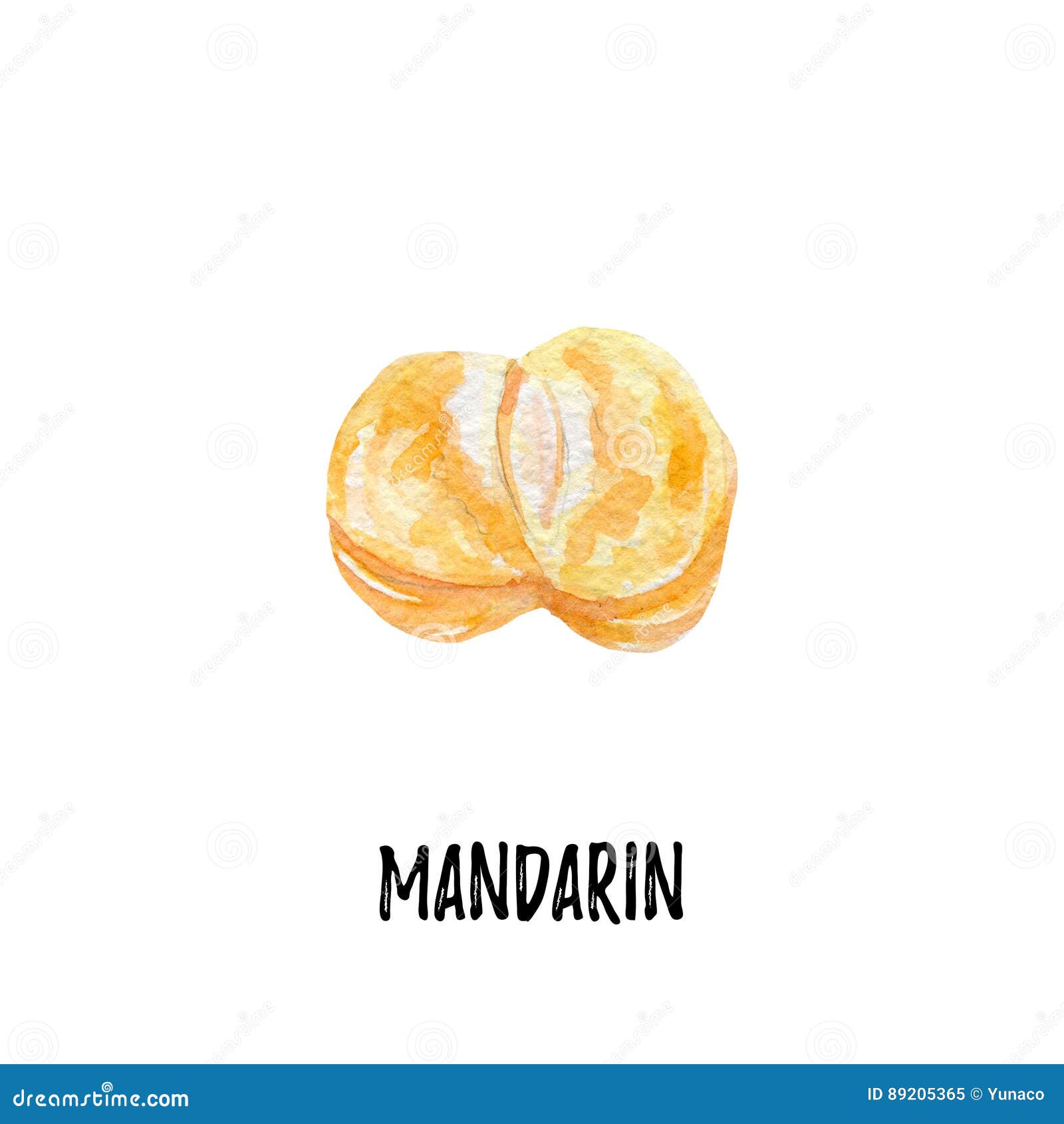 Mandarin Illustration. Hand Drawn Watercolor on White Background. Stock ...
