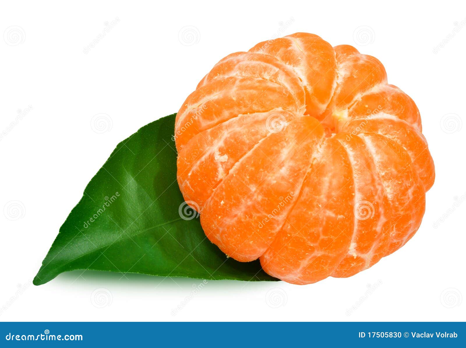 Mandarin with leaf stock photo. Image of food, green - 17505830