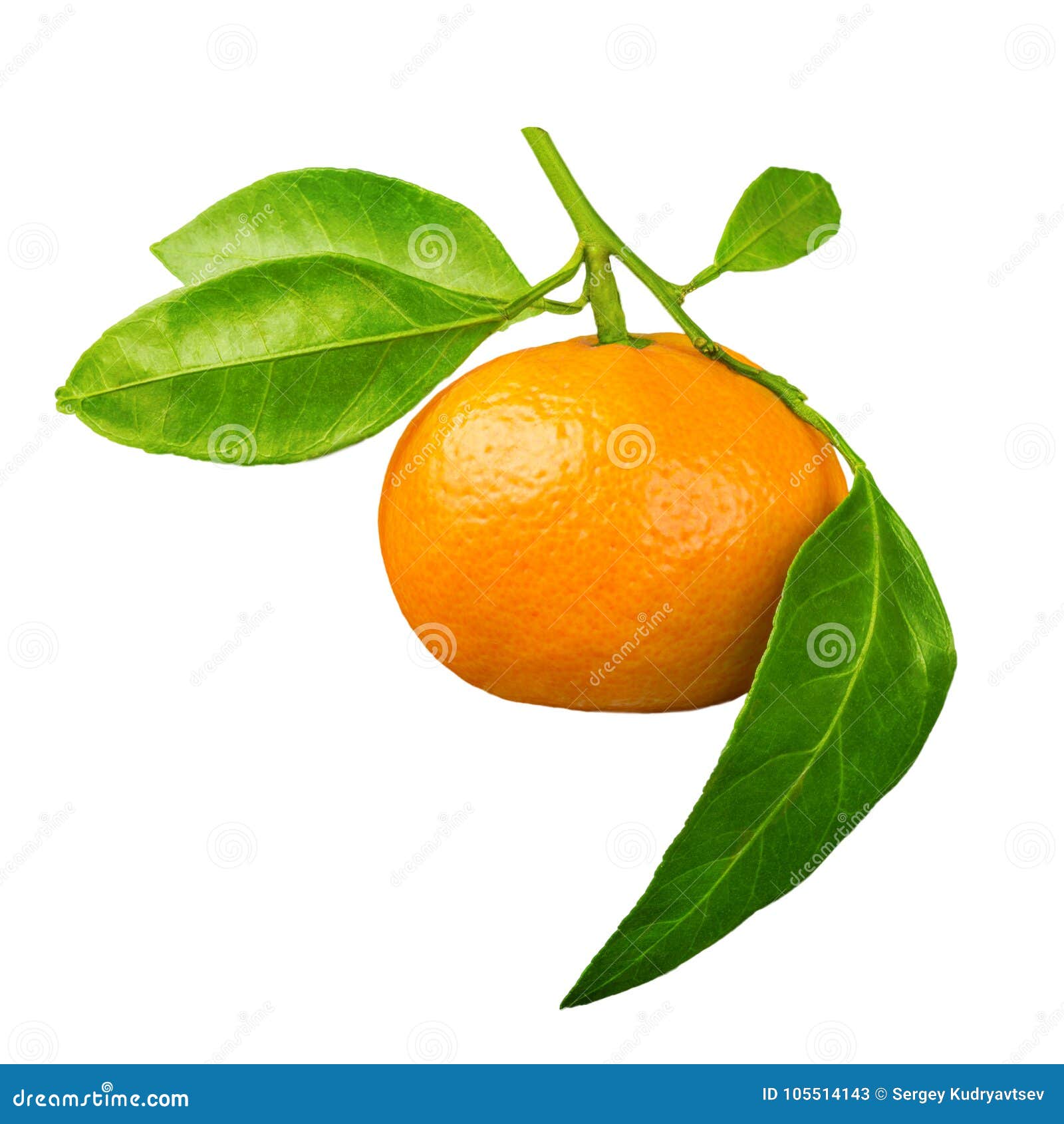 Mandarin with Leaves on a White Background. Stock Image - Image of ...