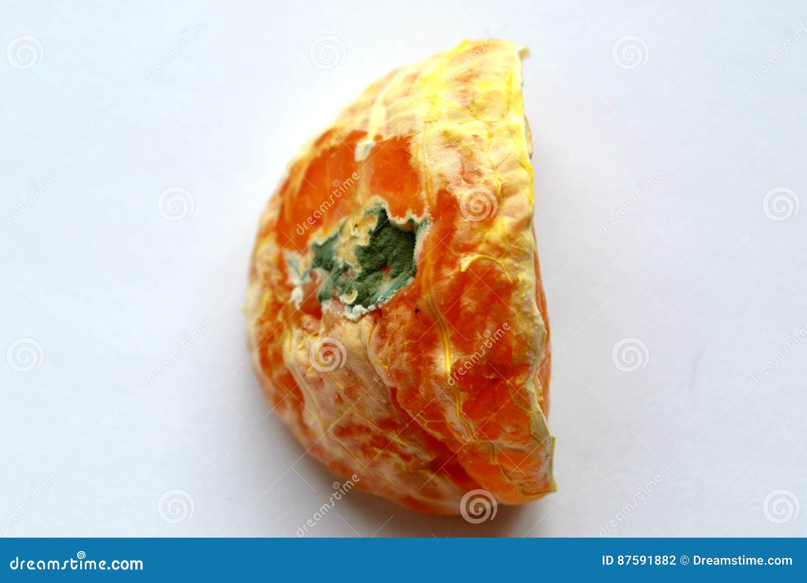 Mandarin with mold 2 stock photo. Image of mandarin, fruit - 87591882