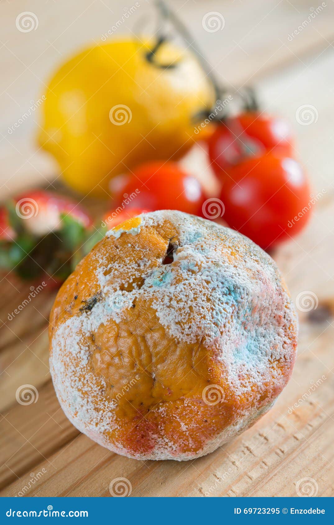 Mandarin with mold stock image. Image of tangerine, mold - 69723295