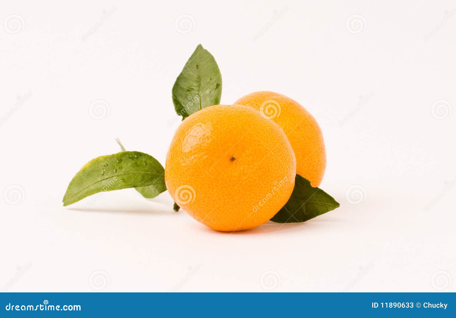 Mandarin Orange Stock Photography | CartoonDealer.com #88839860