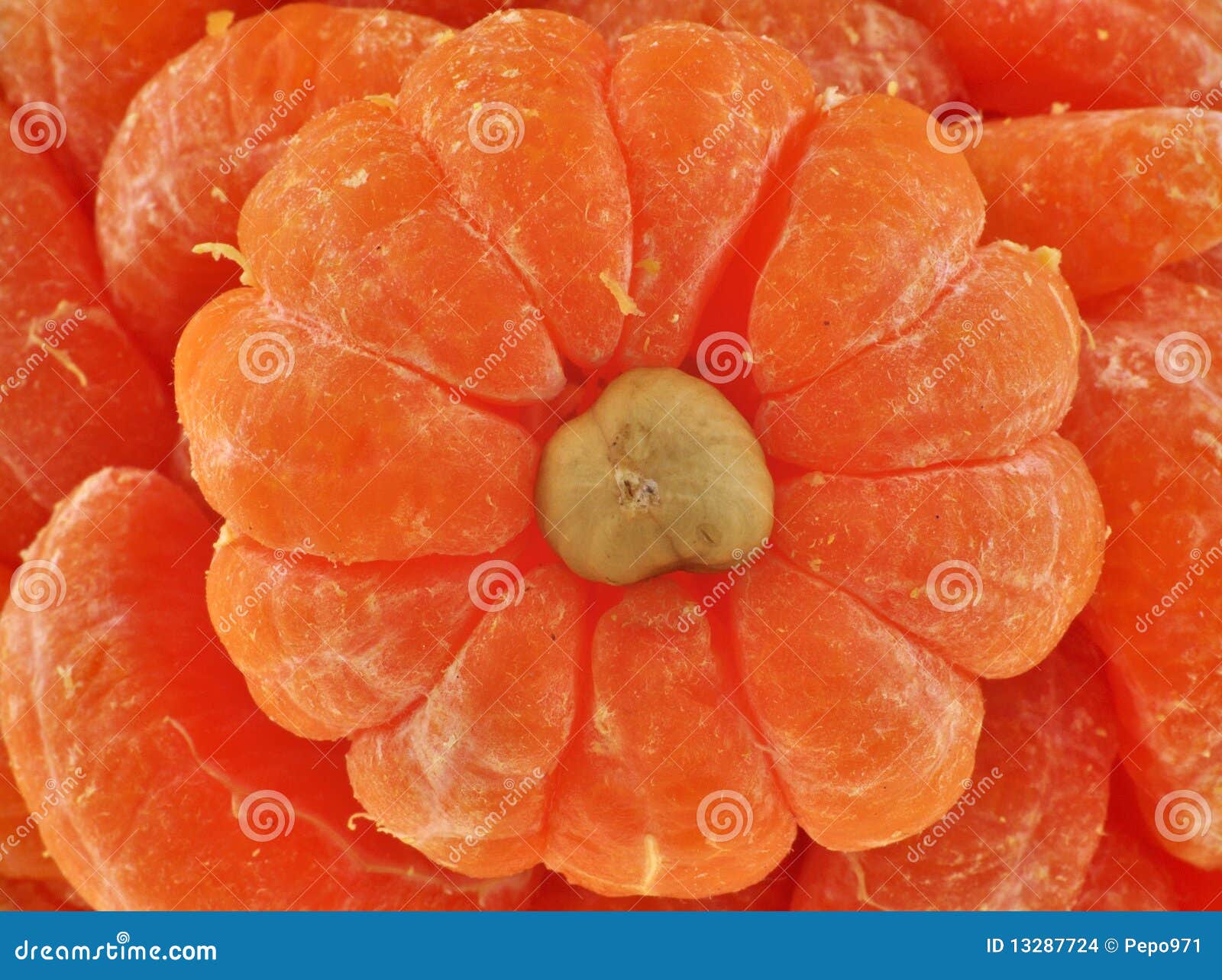 Mandarin orange stock photo. Image of healthy, white - 13287724