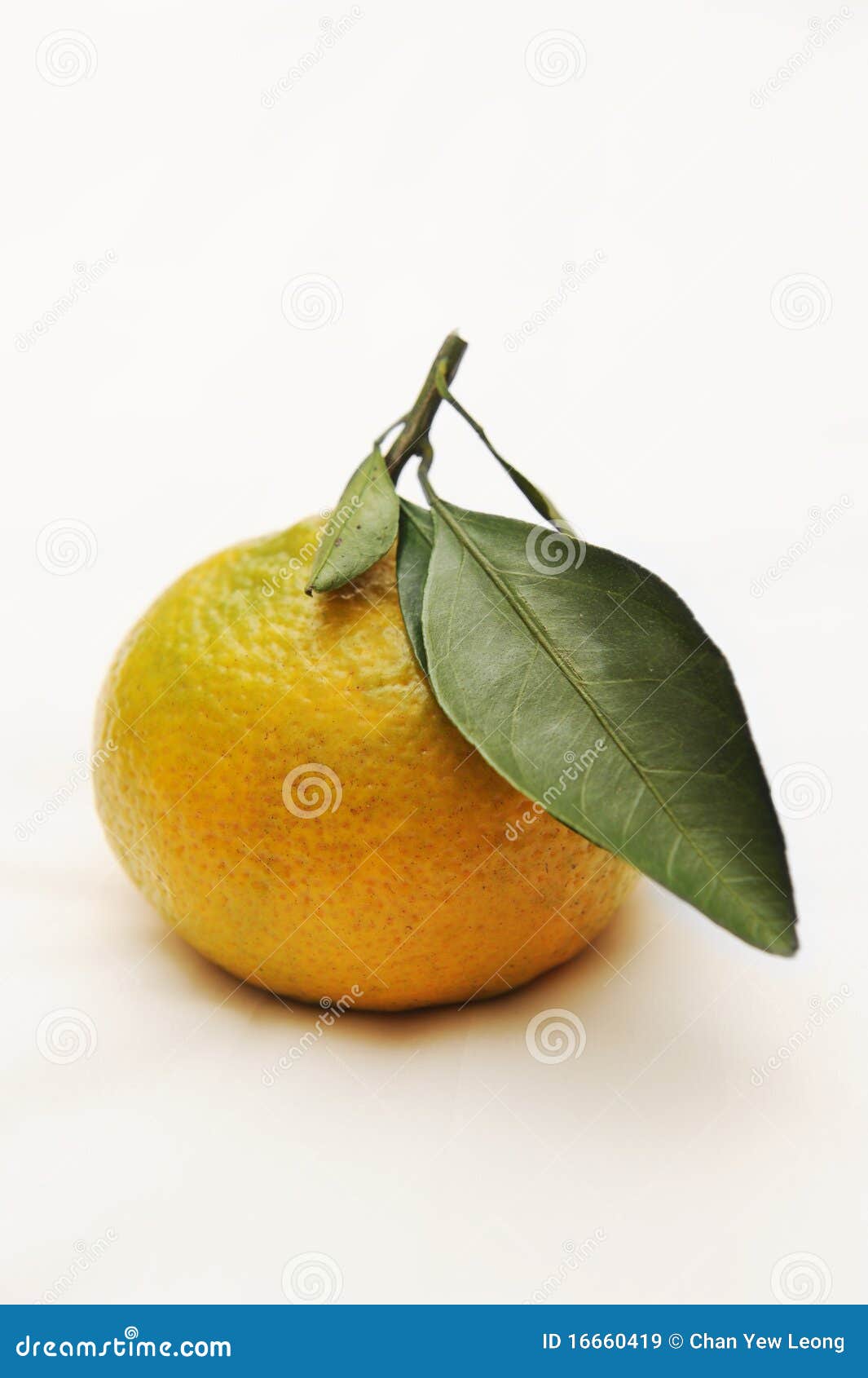 Mandarin Orange stock image. Image of leaf, food, isolated - 16660419