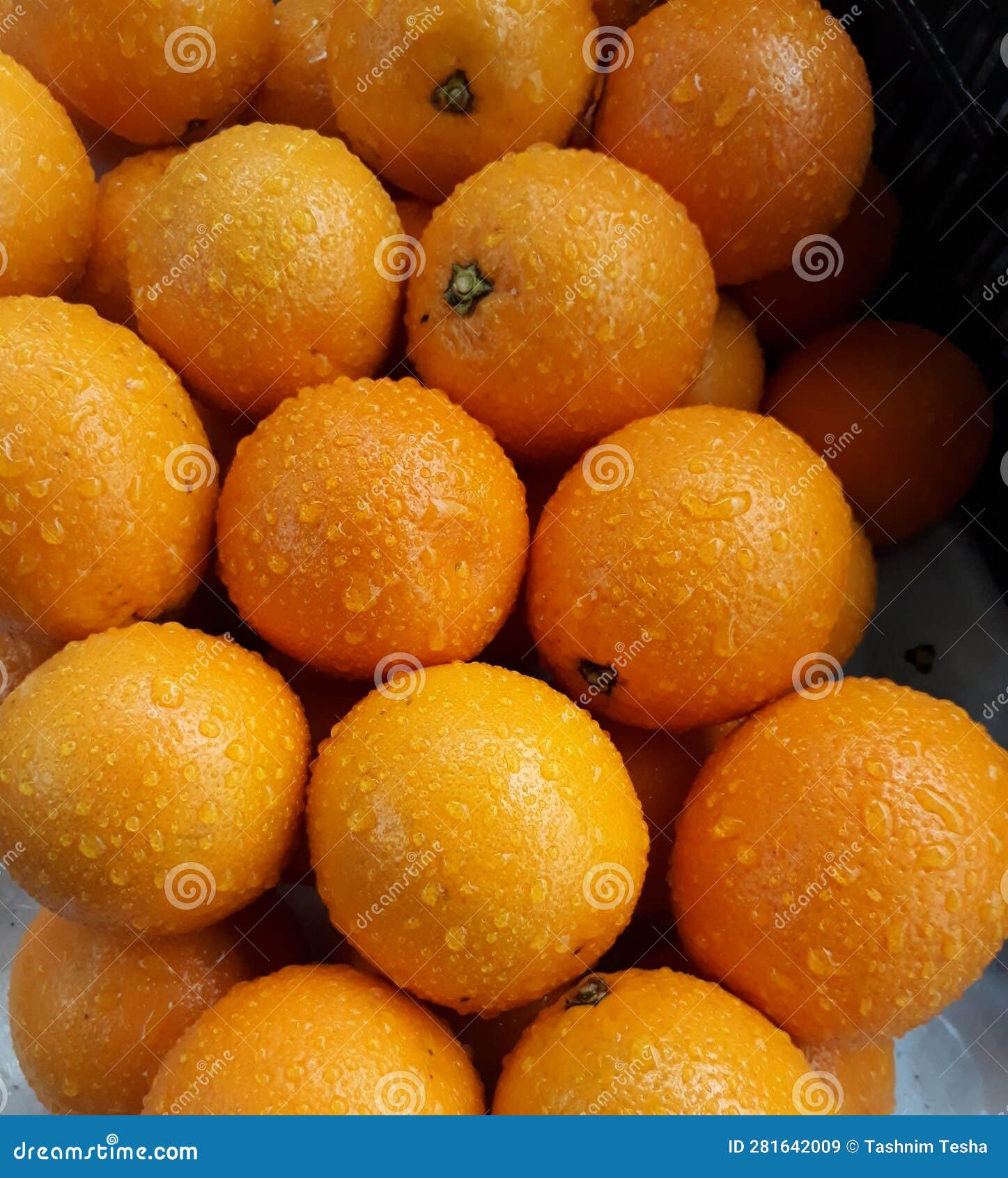 The Mandarin Orange, Also Known As Mandarin or Mandarine, is a Small ...