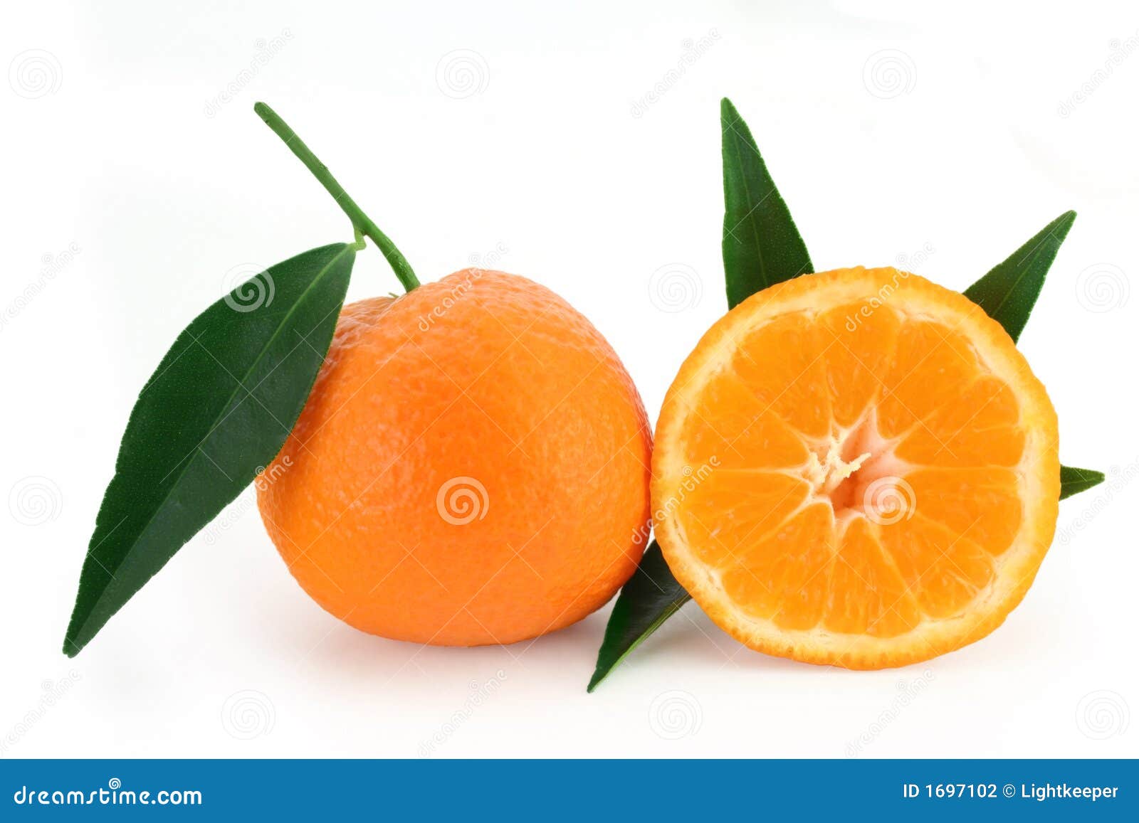 Mandarin Orange - Citrus Reticulata Stock Photo - Image of background ...