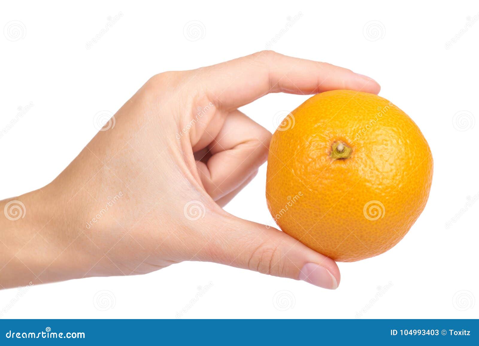 Mandarin Orange in Hand Close Up Isolated on White Background Stock ...
