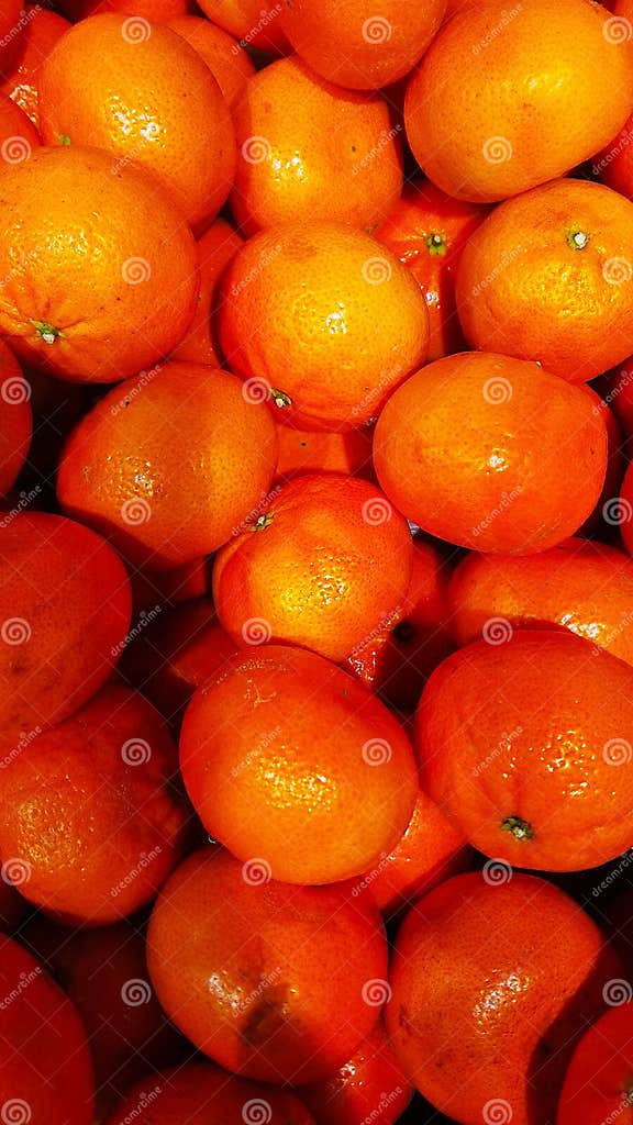 Mandarin Orange in India stock photo. Image of food - 261979996