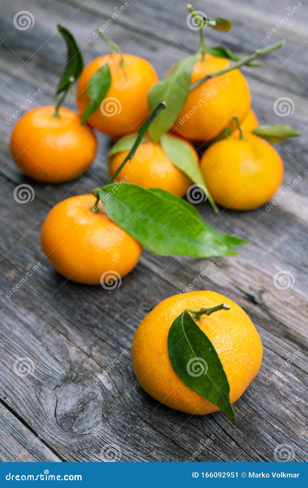 Mandarin orange with leaf stock image. Image of tangerine - 166092951