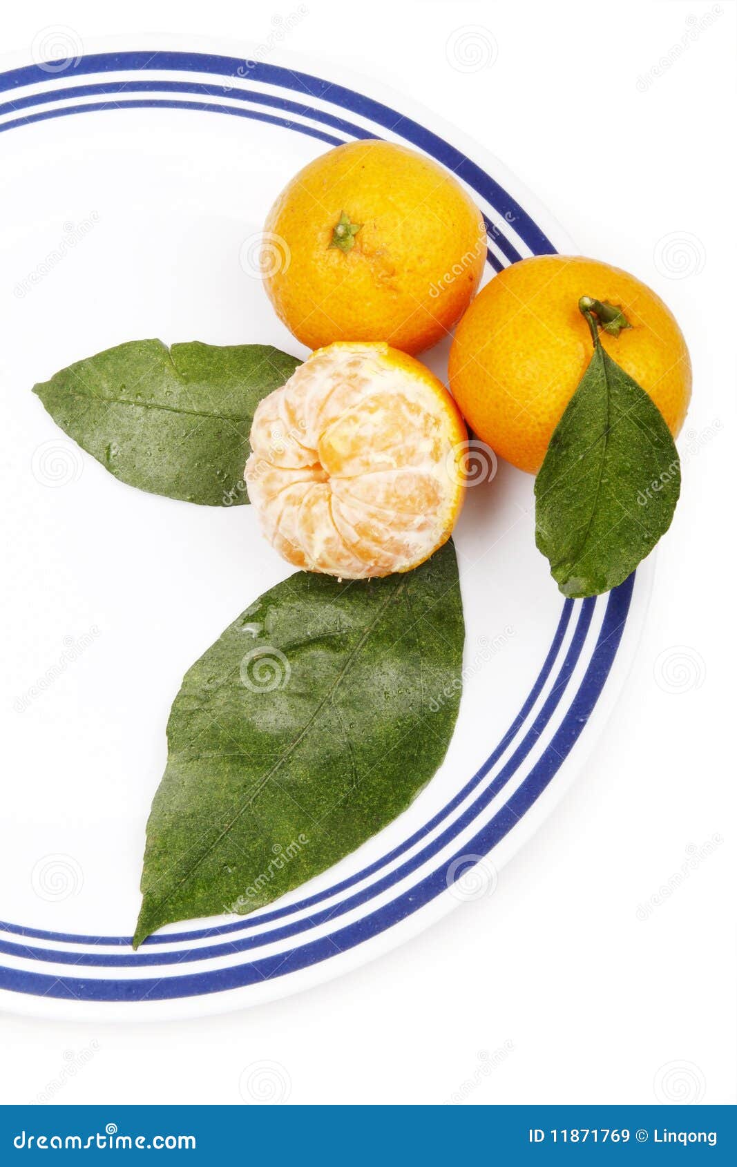 Mandarin oranges stock image. Image of isolated, color - 11871769