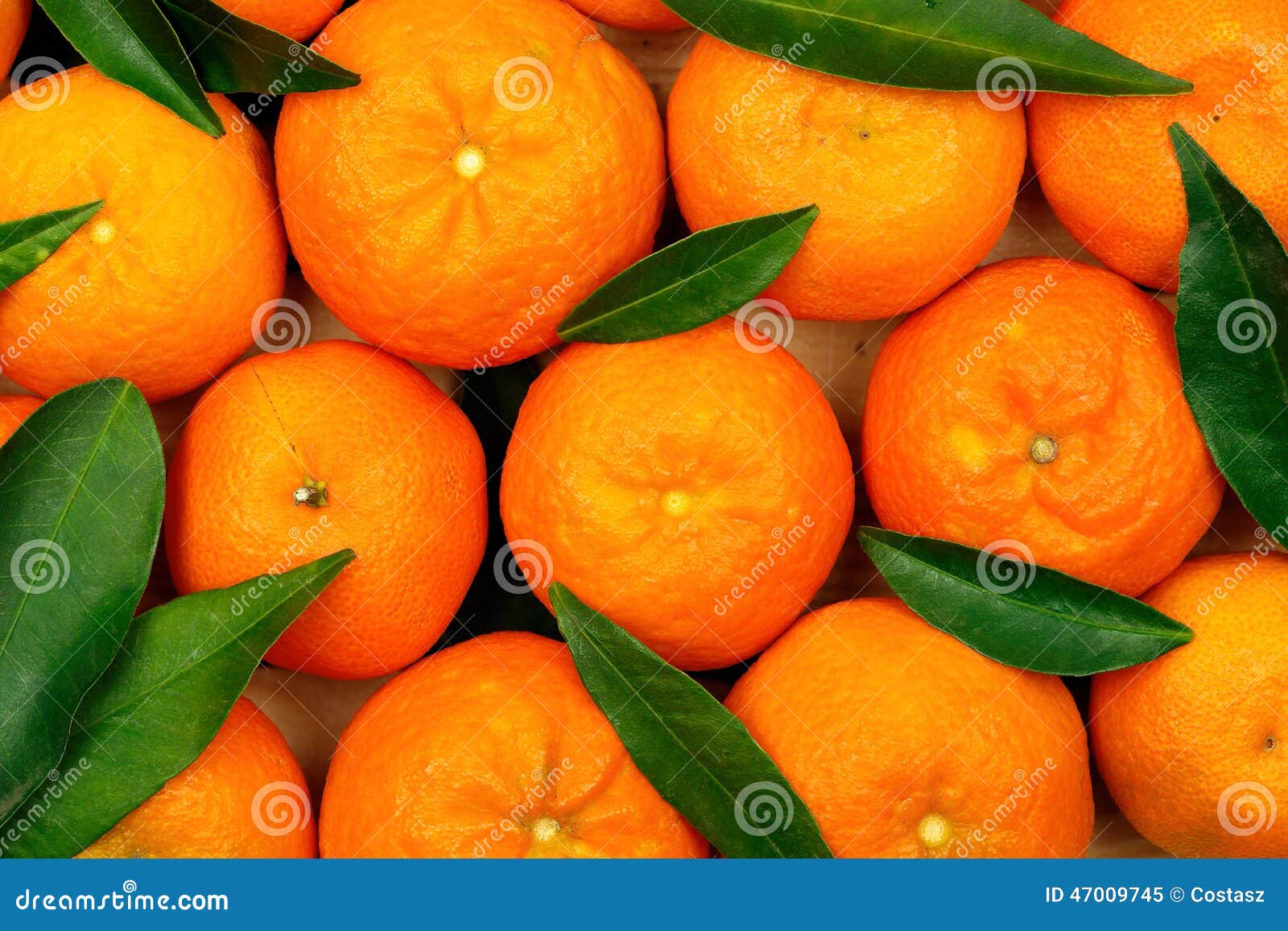Mandarin oranges stock image. Image of edible, detail - 47009745