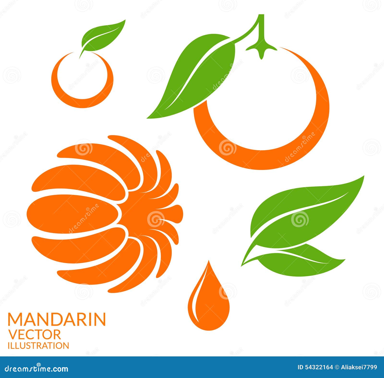 Mandarin. Set stock vector. Illustration of stylized - 54322164