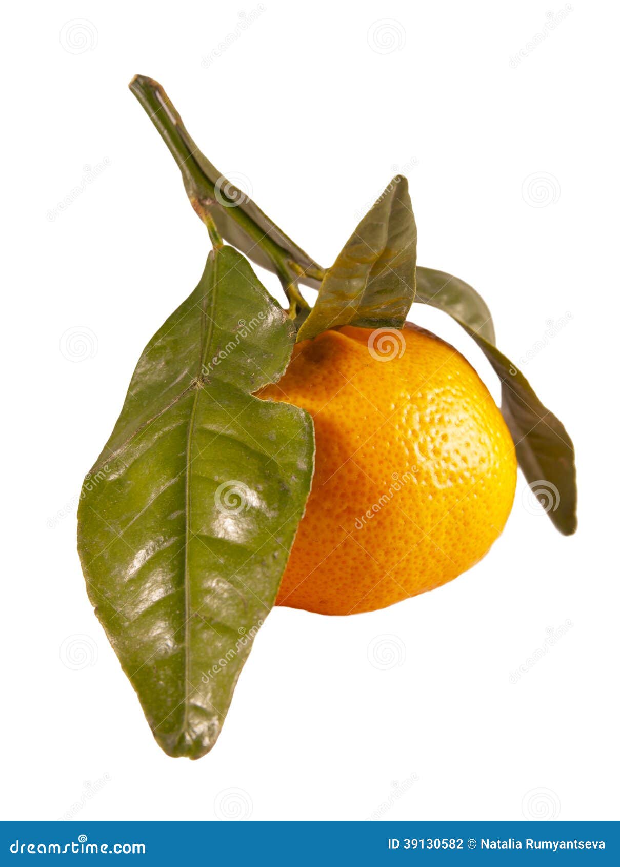 Mandarin stock photo. Image of vegetarian, juicy, yellow - 39130582