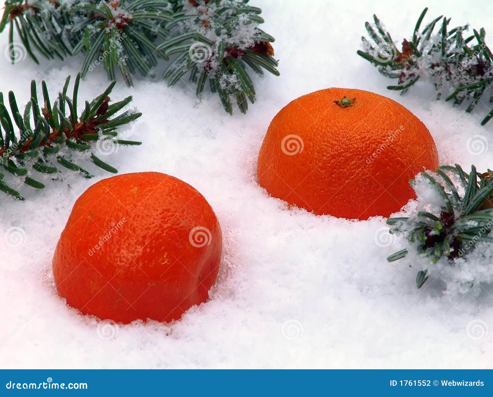 Mandarin is snow stock photo. Image of bright, destinations - 1761552