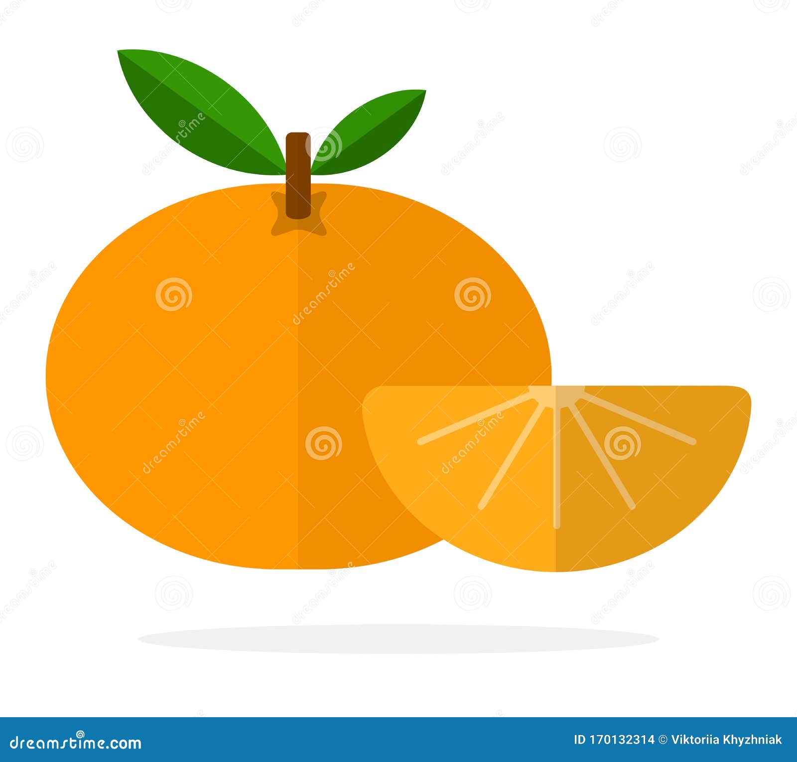 Mandarin with a Stem and a Leaf and a Slice of Mandarin Flat Isolated ...