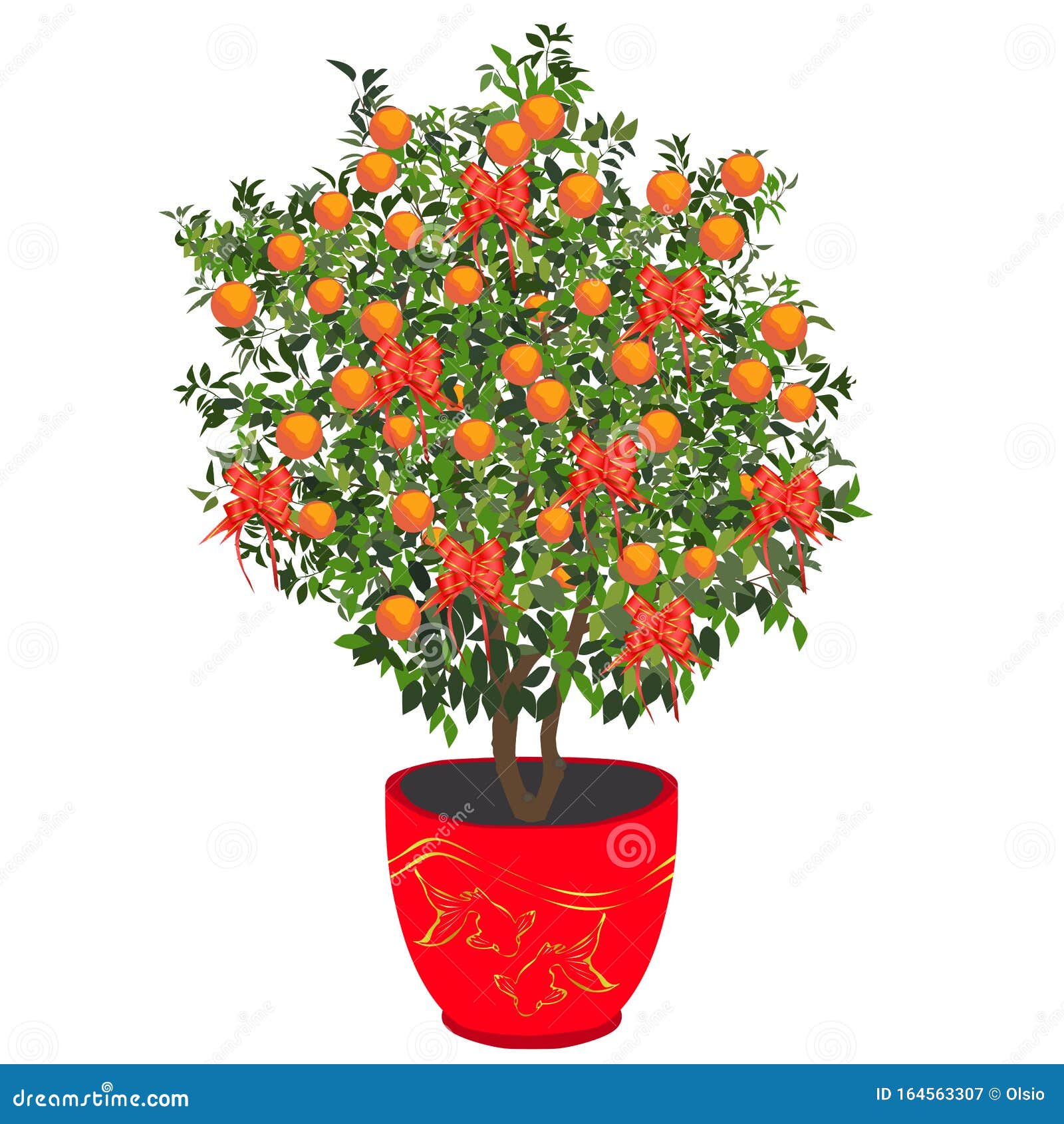 Mandarin Tree Growth Stages. Vector Illustration. Ripening Period ...